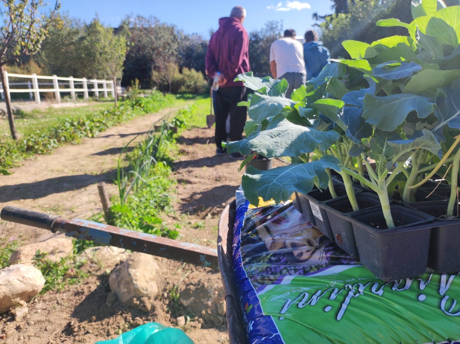 The 2nd Cycle of the “CULTIVATING HOPE – HARVESTING CHANGE PROJECT (CH ...